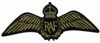 China Custom Twill Fabric Iron On Embroidery Patch Wing Shape for Pilot Uniforms 100pcs MOQ for sale