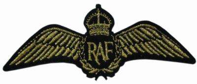 China Custom Twill Fabric Iron On Embroidery Patch Wing Shape for Pilot Uniforms 100pcs MOQ for sale