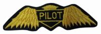 China Custom Twill Fabric Iron On Embroidery Patch Wing Shape for Pilot Uniforms 100pcs MOQ for sale