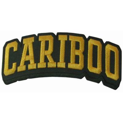 China Twill 75% Iron On Embroidery Patch For Clothing for sale