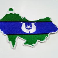 China Custom Washable Twill Fabric Embroidered Patch with Iron On Backing 50pcs MOQ for sale