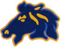 China Custom Chenille PMS Color Heat Cut Border Embroidered Patches Iron On 30pcs MOQ for sale