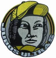 China 12C Color Polyester Washable Iron On Embroidered Patch for sale