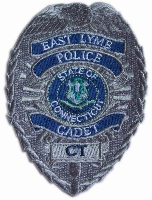 China Custom Embroidered Patch with Heat Cut Border 10 Colors Twill Velcro Hook for Military Security Uniform for sale