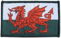 China Custom PMS Color Sew On Embroidered Patches 3.5 Inches Shrink Proof for Uniforms Bags Jackets for sale
