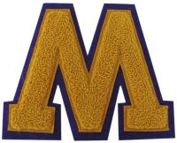 China Custom PMS Offset Chenille Letters Patches Heatcut Border 9C for Sweatsuit Iron On for sale