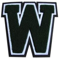 China Custom Chenille Patches Non Toxic Eco Friendly PMS Letters Iron On Embroidered 3D for sale