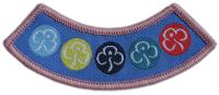 China Custom Twill Velvet Embroidered Patch Badges 12C PMS Sew On Embroidery Patches 50pcs for sale