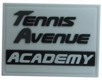 China Custom Embroidered Iron On Badge Patches Tennis Avenue Academy 100mm Wide for sale