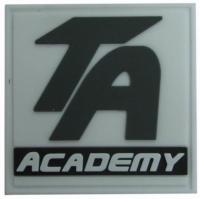 China Custom Embroidered Iron On Badge Patches Tennis Avenue Academy 100mm Wide for sale