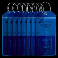 China Custom PVC Luggage Tags 0.6mm Thickness with Steel Loops Pantone Colors Offset Printing for sale