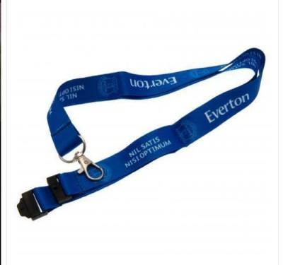 China Eco Friendly Custom Logo Lanyard with Detachable Key Ring 900x25mm for sale