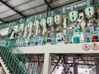 China rice mil suitable for paddy wheat corn coffee processing providing and long lasting agricultural machinery for sale