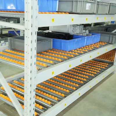 China High Efficiency Gravity Flow Shelving Fast Turnover Roller Flow Rack For Assembly Line Warehouse for sale