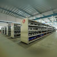 China Cold Storage Anti Rust Gravity Flow Rack FIFO First In First Out Racking for sale
