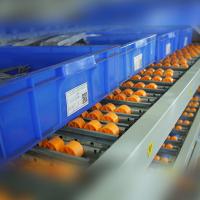 China Cold Storage Anti Rust Gravity Flow Rack FIFO First In First Out Racking for sale