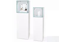 China Material Wooden White Lighting Retail Glass Display Cases / Museum Glass Case for sale