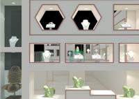 China Modern Fashion Style Wall Mounted Display Case For Jewelry Shop Display for sale
