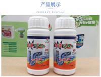 China Hair Sink 30 Minutes Magic  Drain Cleaner Powder 110g/Bottle for sale
