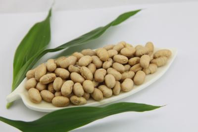 China Organic Soya Bean Snacks 1kg customizable private label offered perfect for organic food wholesalers and snack suppliers for sale