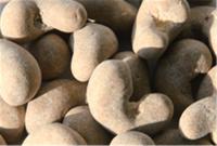 China Soy Sauce Flavoured Cashew Nuts Natural Healthy Nutrition Good For Eyesight for sale