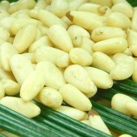 China Crunchy Raw Pine Nuts GMO - Free Microelements Retain Nutritious Food For Kids for sale