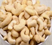 China Full Nutrition Raw Sprouted Nuts , Crunchy Raw Cashew Nut 5% Breakage Rate for sale