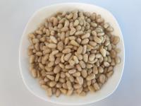 China Organic Pine Raw Sprouted Nuts No Food Color Handpicked Material With OEM Service for sale