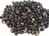 China Vitamins Contained Soya Bean Snacks , Crispy Black Raw Soy Nuts Health Certificated for sale