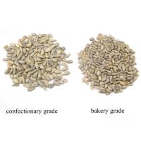 China Sunflower Seeds Kernels Raw Sprouted Nuts100% Green Products Kid Friendly for sale