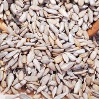 China Handpicked  Delicious Raw Sunflower Kernels Low Calorie 100% Green Foods for sale