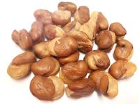 China NON - GMO Spicy / Salted Broad Beans Snack With BRC / Halal / Haccp Certificate for sale