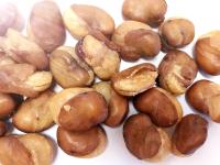 China Healthy Dried Fava Beans Nutrition Roasted Seasoning Customized Avaliable for sale