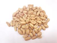 China Salted Peanuts Good Taste Various Vitamins with Certificate Wholesale for sale