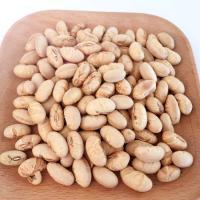 China Kosher Halal Coated Roasted Spicy Yellow Edamame for sale