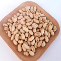 China Kosher Halal Coated Roasted Spicy Yellow Edamame for sale