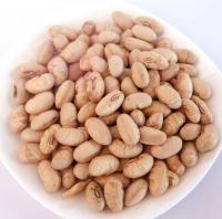 China Kosher Halal Coated Roasted Spicy Yellow Edamame for sale
