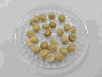 China Delicious Roasted Macadamia Nuts Made With Natural Ingredients for sale