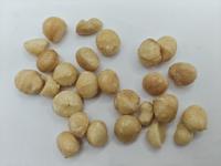 China Delicious Roasted Macadamia Nuts Made With Natural Ingredients for sale