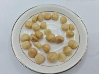 China Delicious Roasted Macadamia Nuts Made With Natural Ingredients for sale