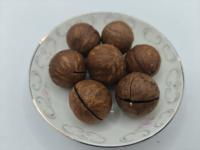 China Delicious Natural Macadamia Nuts From In Plastic Bag for sale
