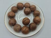 China Delicious Natural Macadamia Nuts From In Plastic Bag for sale