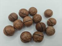 China Delicious Natural Macadamia Nuts From In Plastic Bag for sale