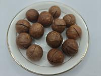 China Delicious Natural Macadamia Nuts From In Plastic Bag for sale