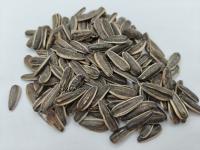 China Original Flavor Salt Vinegar Sunflower Seeds for sale