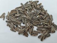 China Original Flavor Salt Vinegar Sunflower Seeds for sale
