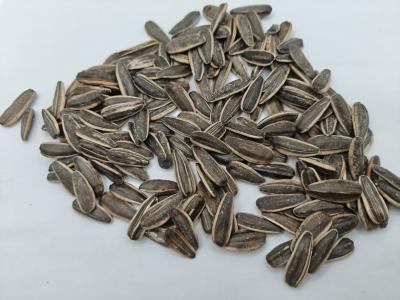 China Original Flavor Salt Vinegar Sunflower Seeds for sale