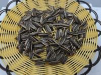 China Original Flavor Salt Vinegar Sunflower Seeds for sale