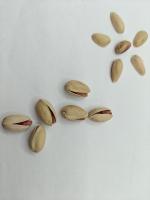 China Satisfy Cravings Roasted Salt Pistachio In Shell Free Sample for sale