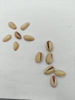 China Satisfy Cravings Roasted Salt Pistachio In Shell Free Sample for sale